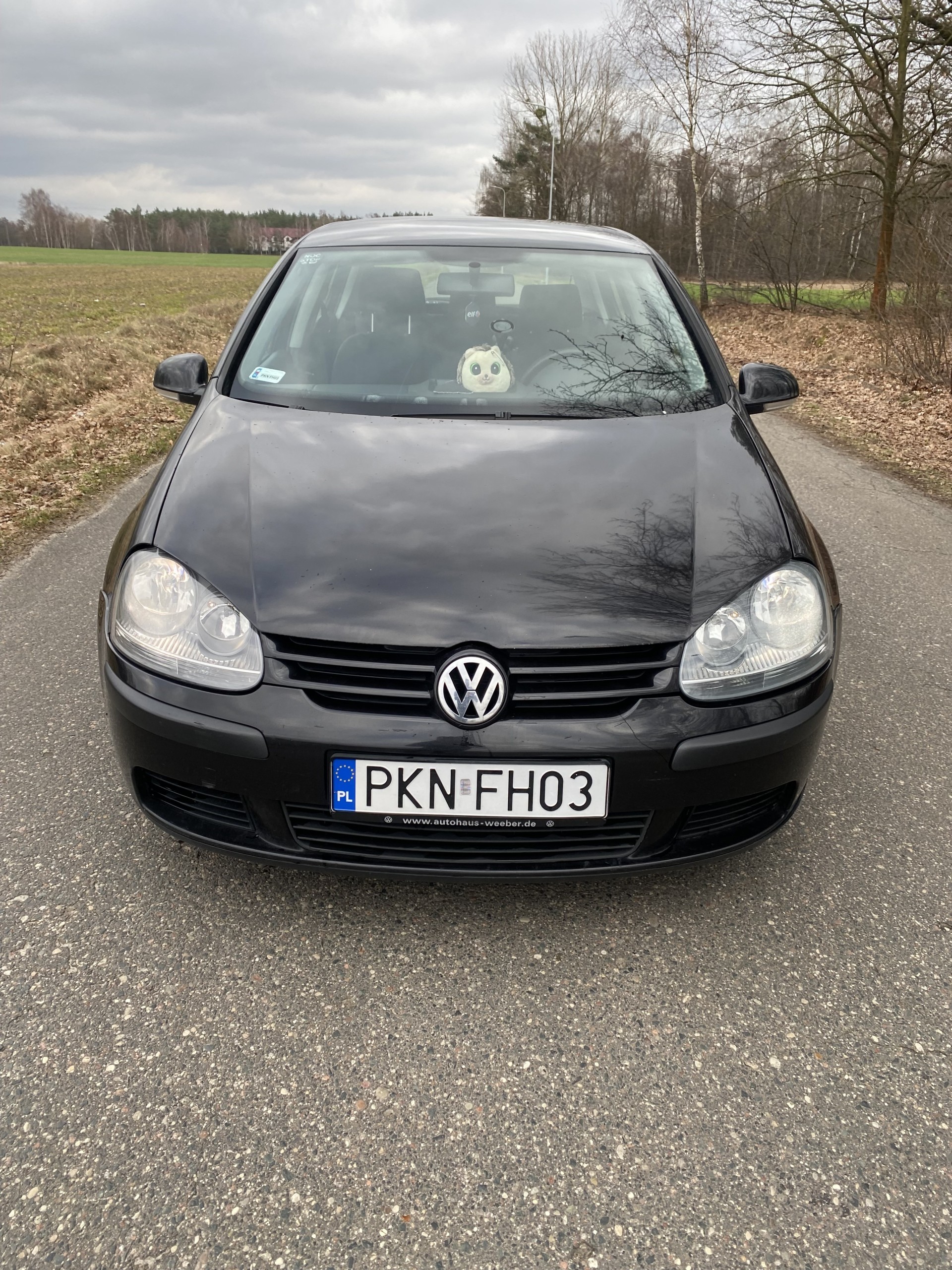 Ogłoszenie: Sprzedam Golfa V 1.9 TDI, kategoria: samochody