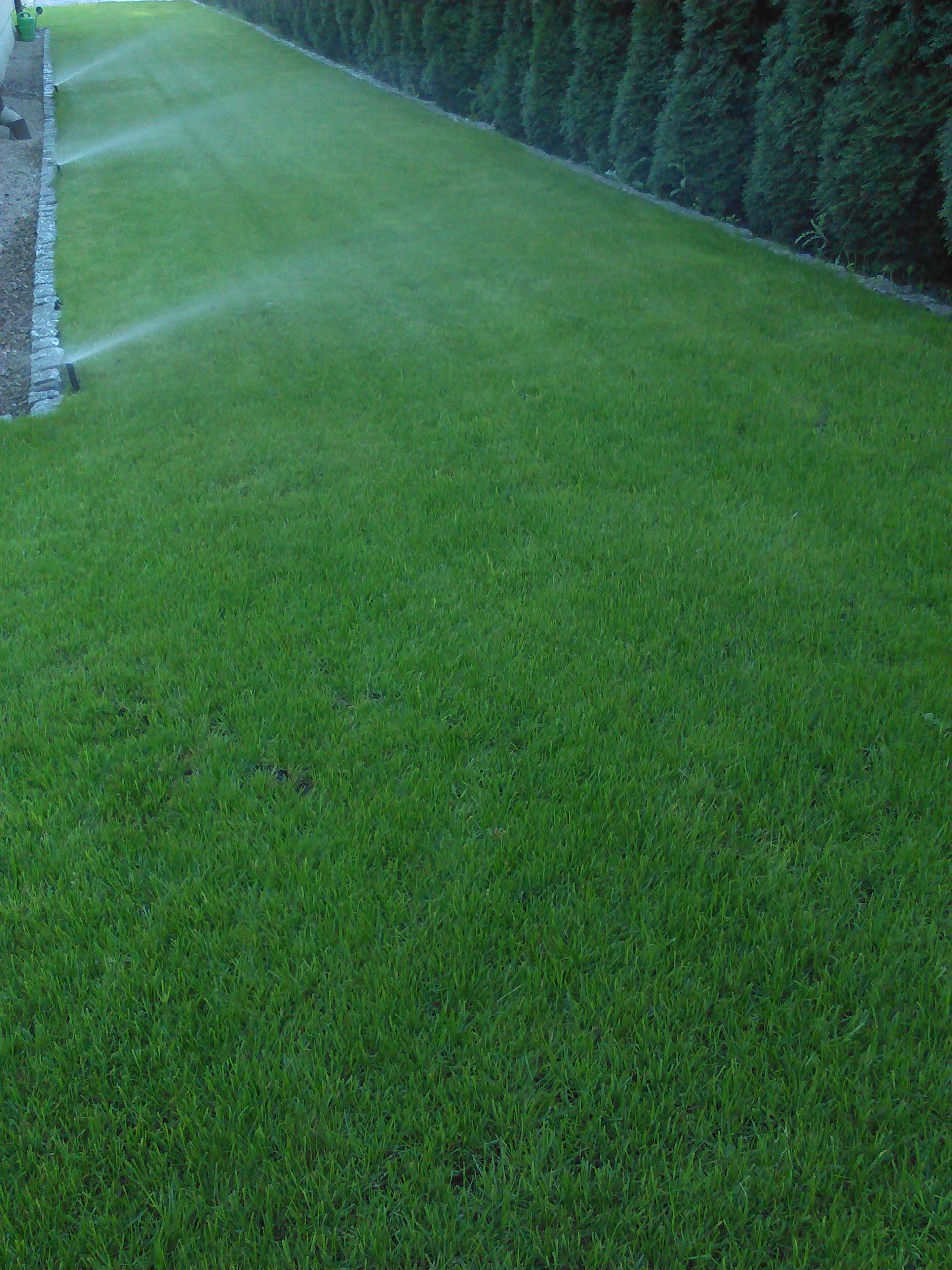 Ogłoszenie: ZAKŁ. OGRODÓW , TRAWNIKÓW , NAWODNIEN 602 635 026 ...