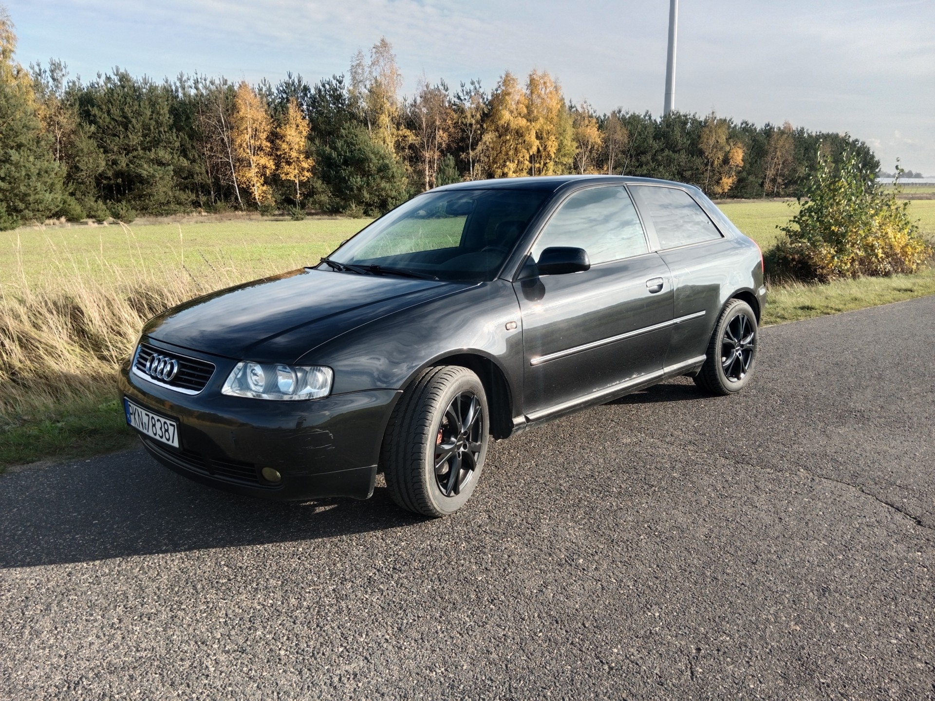 Ogłoszenie: Sprzedam audi a3 8l 1.8t +LPG 2002r, kategoria: samochody